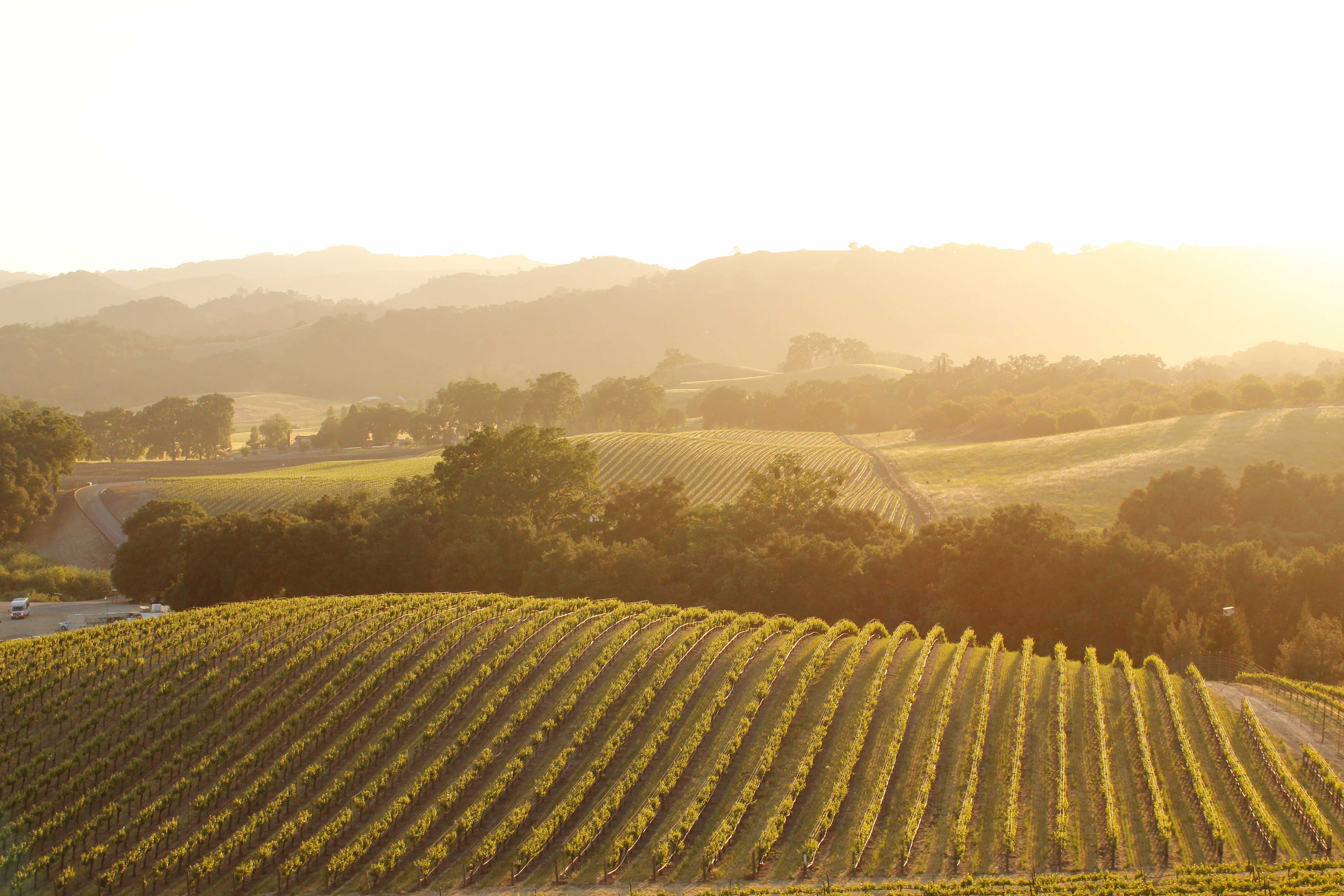 Sip and Savor in Paso Robles: One of California’s Fastest Growing Wine ...